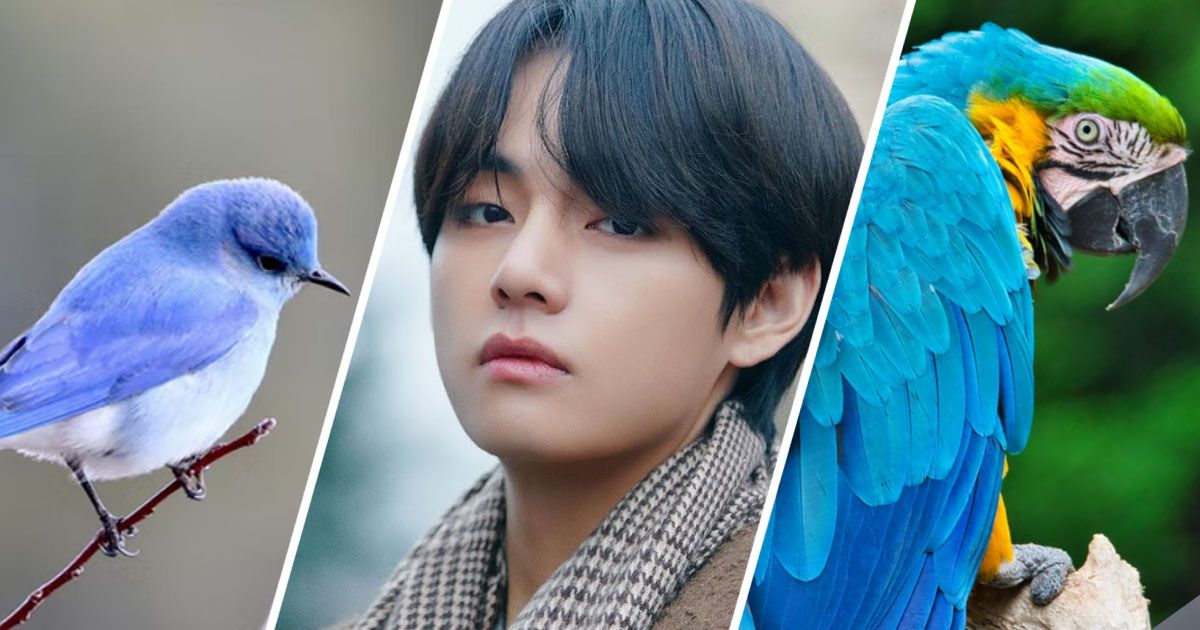7 Things You Might Not Know About BTS V's Solo Songs - Koreaboo