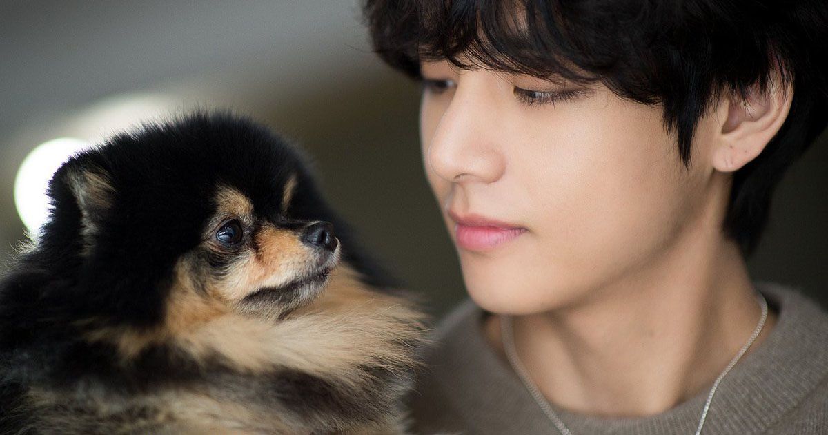 8 Reasons To Stan BTS's 8th Member, Yeontan