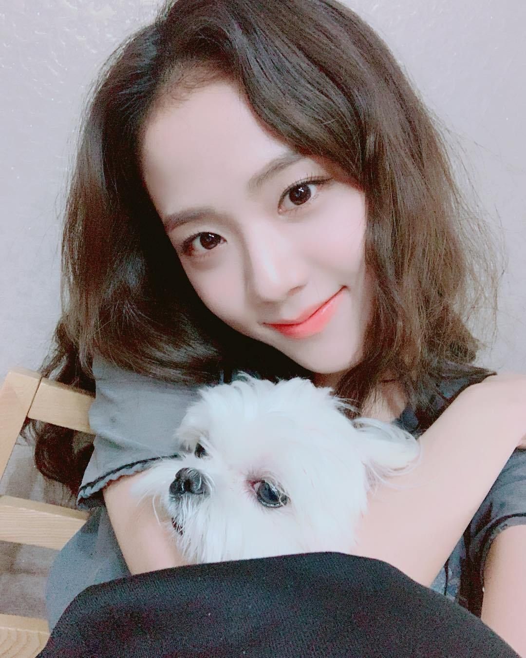 BLACKPINK Jisoo's Response To A Fan Wanting To Marry Dalgom Is ...