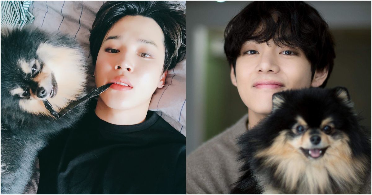 15 Times BTS Had The Most Adorable Interactions With Dogs - Koreaboo