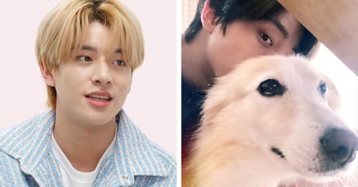 ENHYPEN Jake's Dog Was Named After A Song And Came With One Last ...