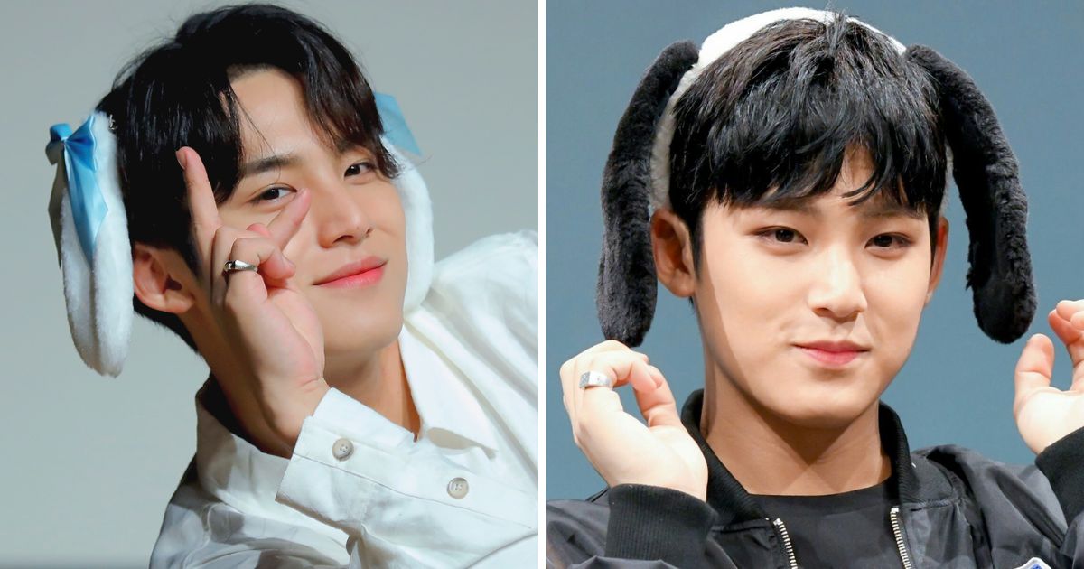 10+ Times That Prove Everyone Is On The "SEVENTEEN's Mingyu Is A Puppy ...