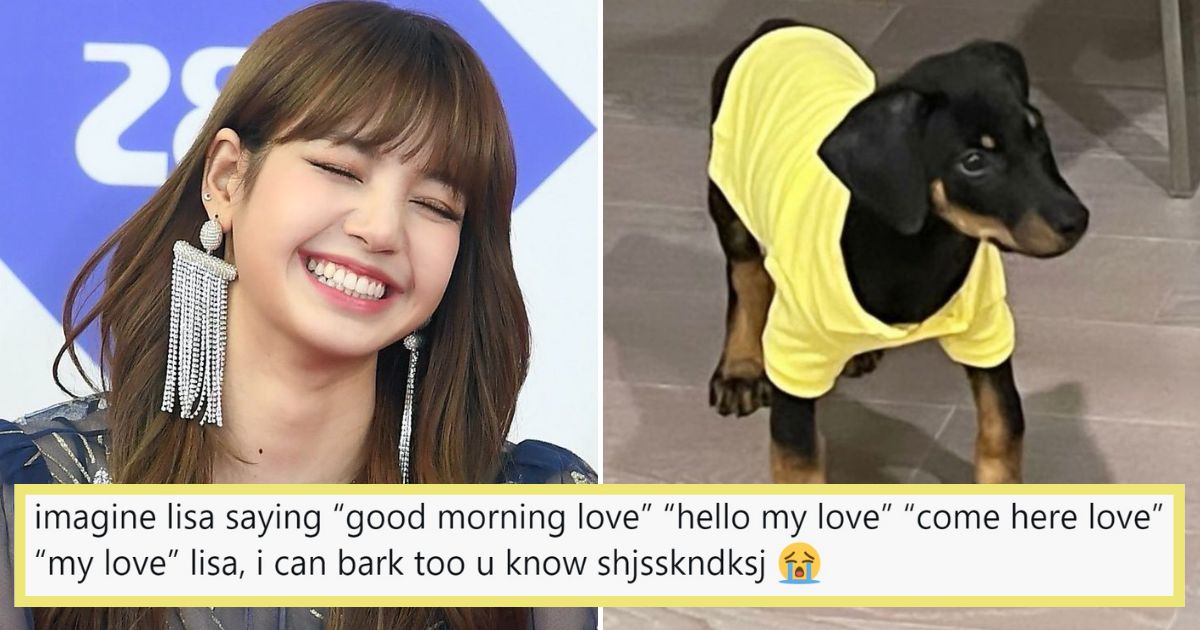 10+ Most Hilarious Reactions To BLACKPINK's Lisa Introducing A New Pet ...