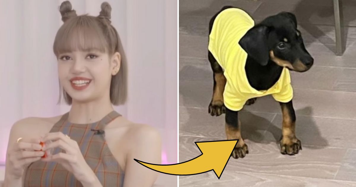 From His Age To His Breed: BLACKPINK's Lisa Reveals More Details About ...