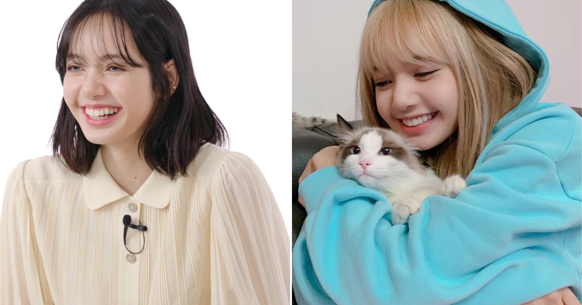 BLACKPINK's Lisa Can't Stop Gushing Over Her 5 Cats In An Interview ...