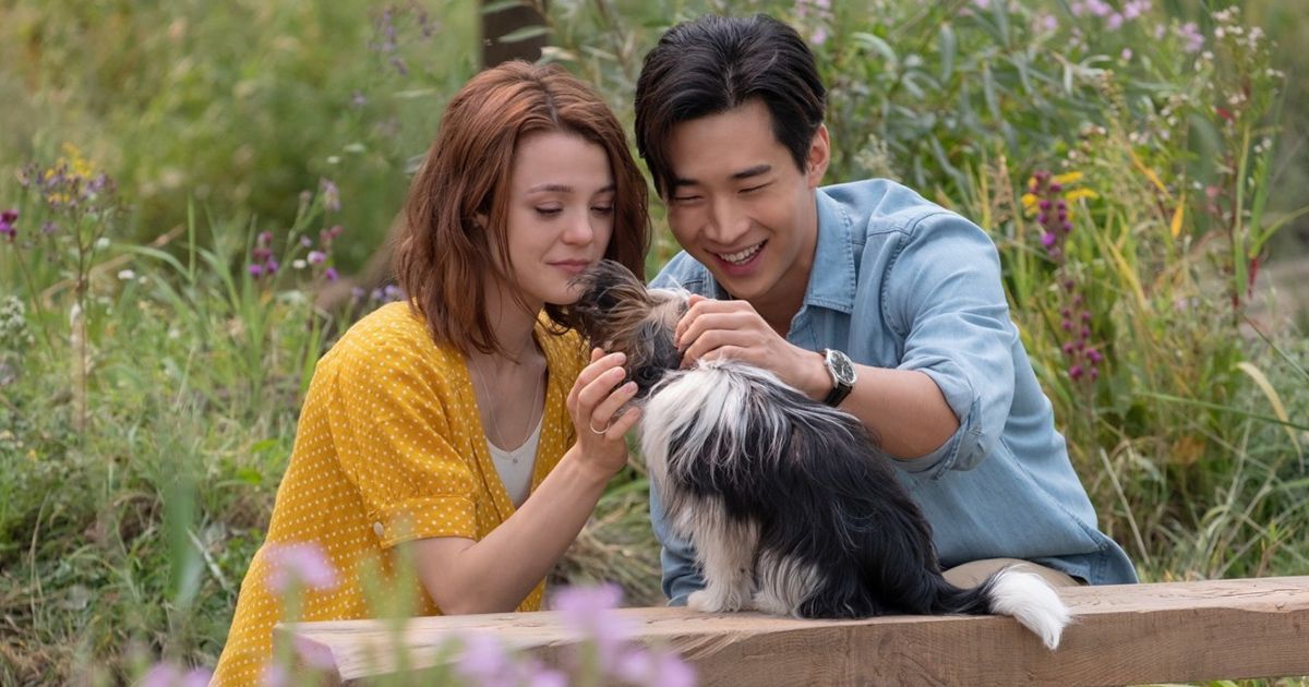Henry Reveals How He Was Cast For His Hollywood Debut Movie "A Dog's ...