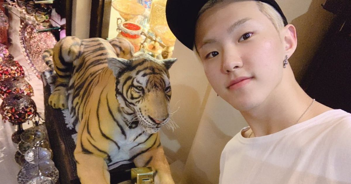 SEVENTEEN's Hoshi Showed CARATs That He Will Always Love Tigers