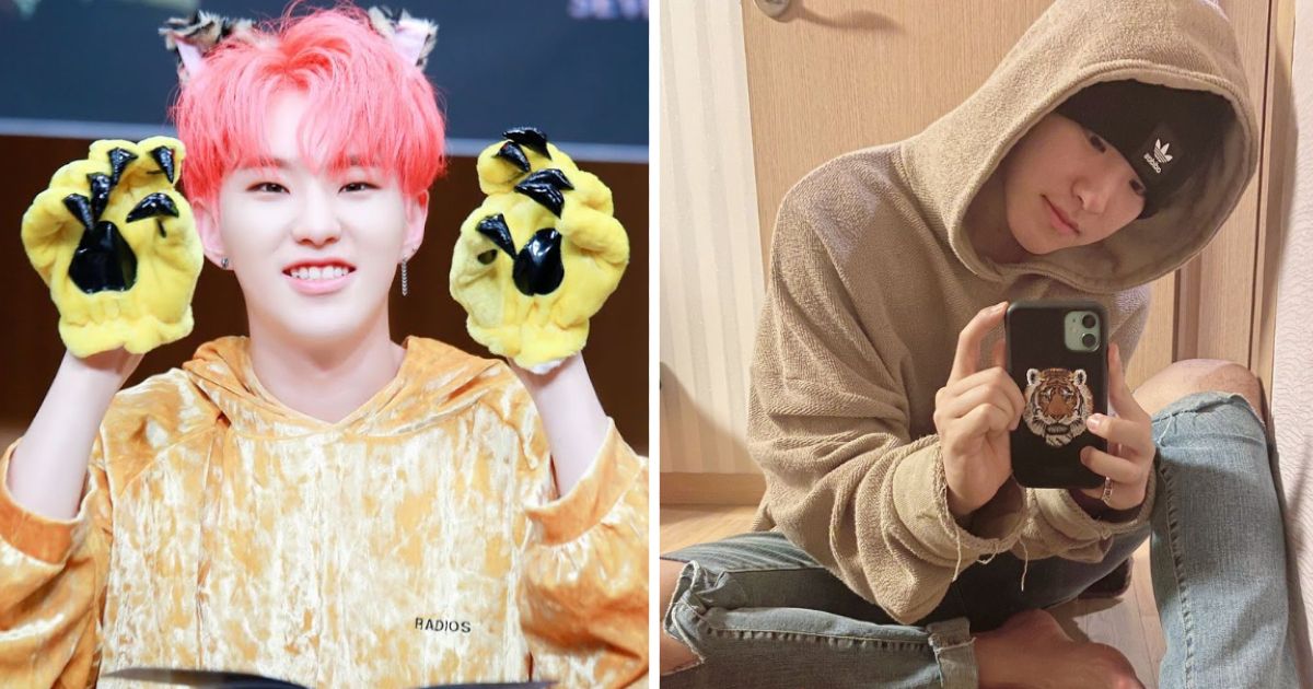 SEVENTEEN's Hoshi Reveals His Favorite Tiger-Inspired Item - Koreaboo