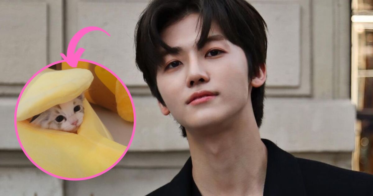 NCT’s Jaemin Stirs Heated Debate Among Korean Netizens By Becoming A ...