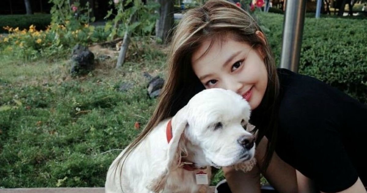 Fans Claimed Jennie Named Her Dog After Kai…But Here’s The Full Story ...