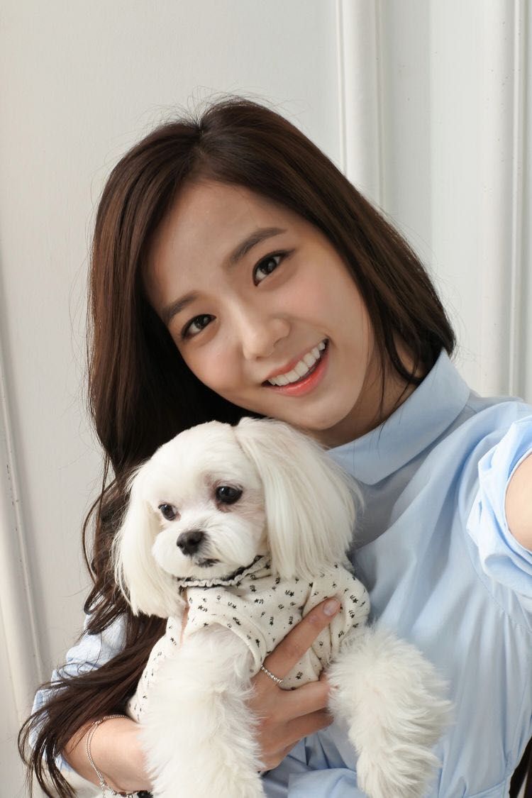 In Case BLINKs Were Wondering, Jisoo Has Updated Everyone On Her Dog ...