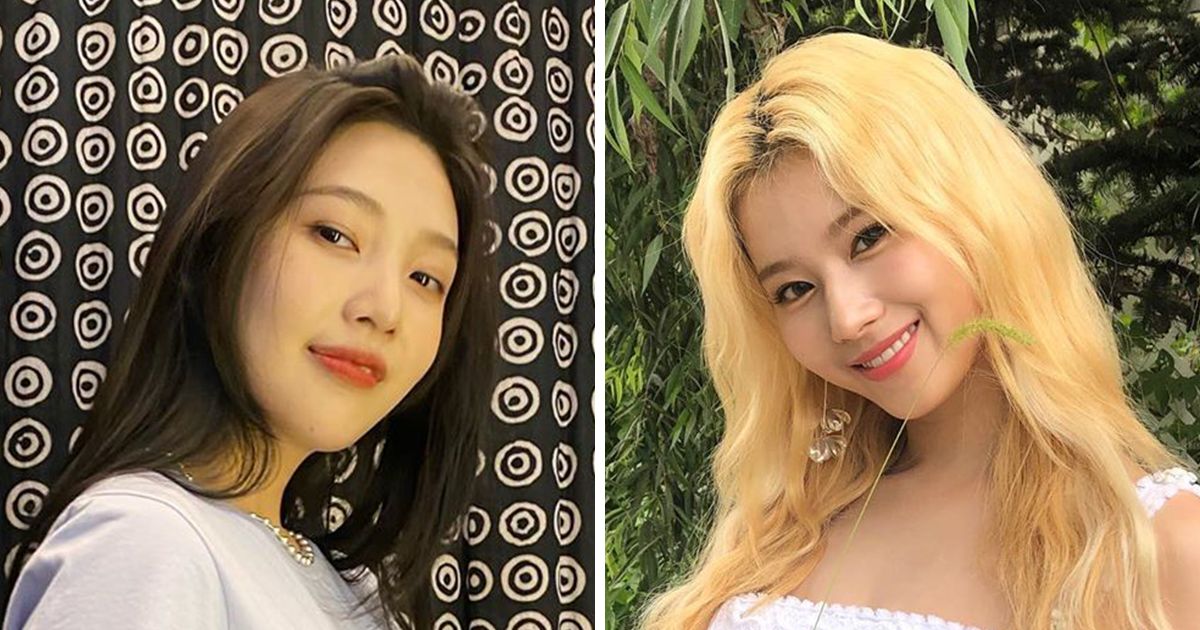 Netizens Think Red Velvet's Joy & TWICE's Sana Have Looked Alike Since ...