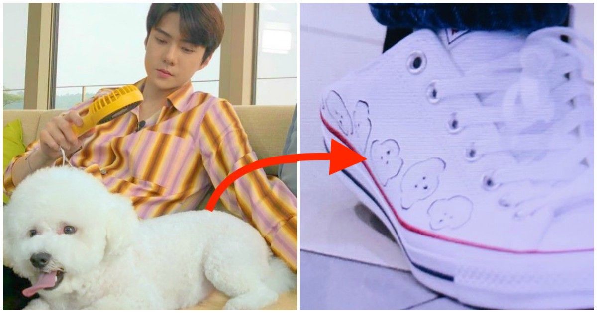 EXO's Sehun Proved Once Again He's The Proudest Dog Dad With Customized ...