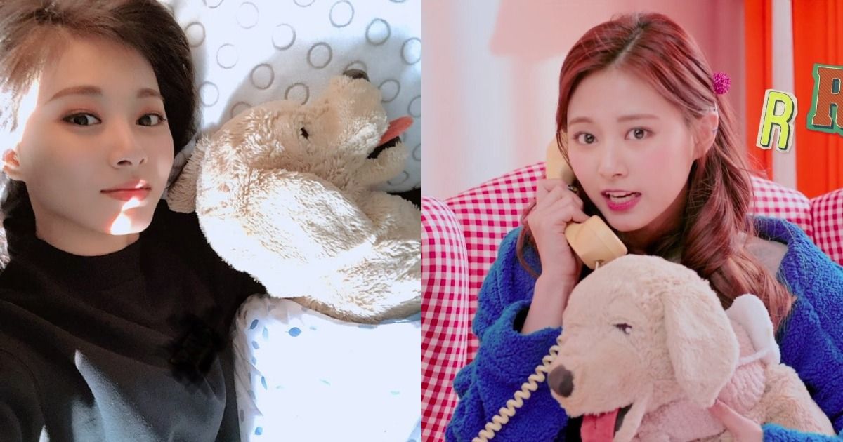 Fans Can't Get over How Tzuyu Treats Her Stuffed Toy - Koreaboo