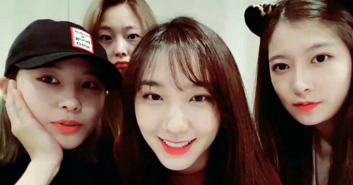 Former PRISTIN Members Eunwoo, Roa, Yuha, and Rena Have Been Confirmed ...