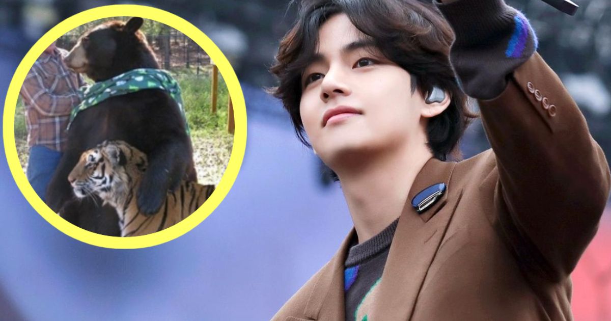 ARMYs Suspect There's A Sweet Hidden Meaning Behind BTS V's "Team Tiger ...