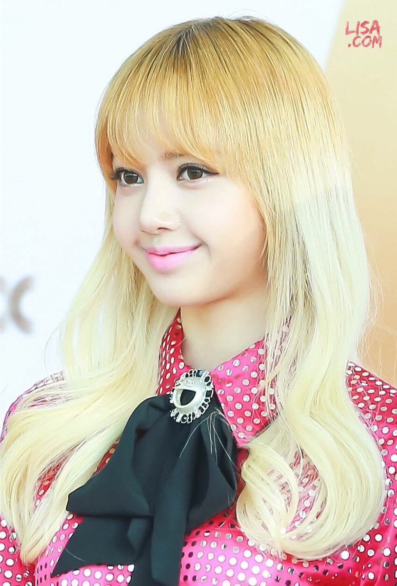 10+ Times BLACKPINK's Lisa Stunned With Her Lovely Doll-Like Visuals ...