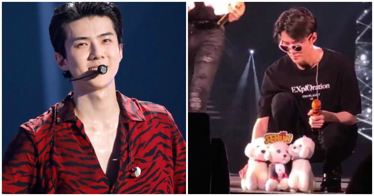 EXO's Sehun Was The Happiest Maknae Ever When He Spotted Plushies That Looked Like His Doggo ...