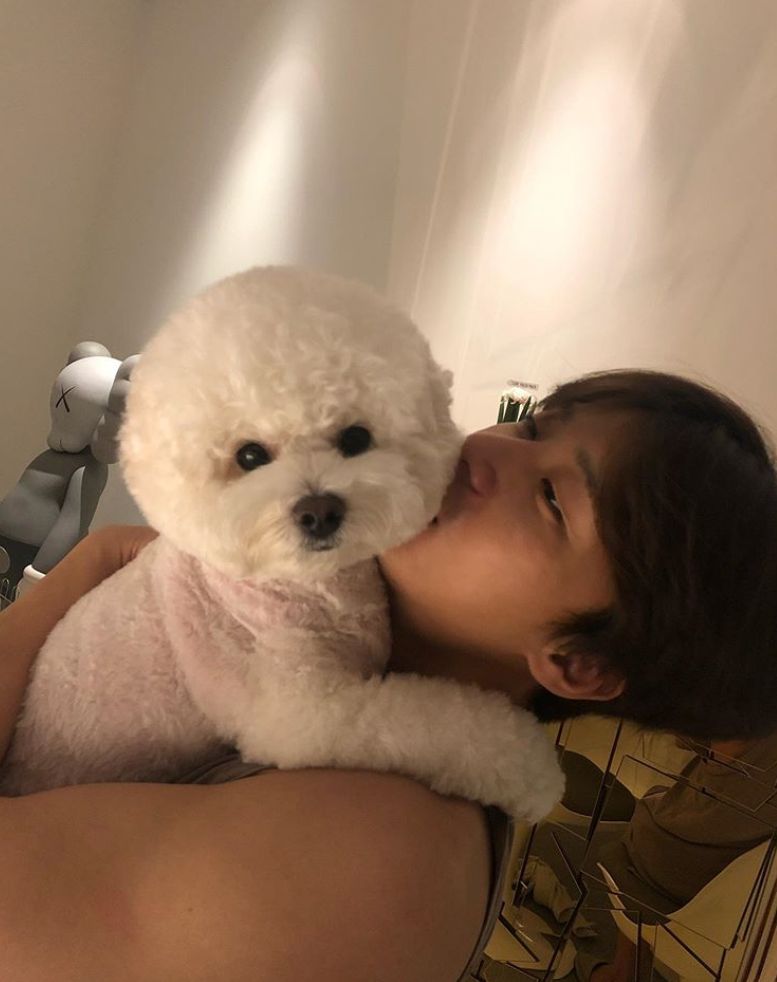 15+ Pictures Of Park Seo Joon And His Adorable Dog To Brighten Up Your ...