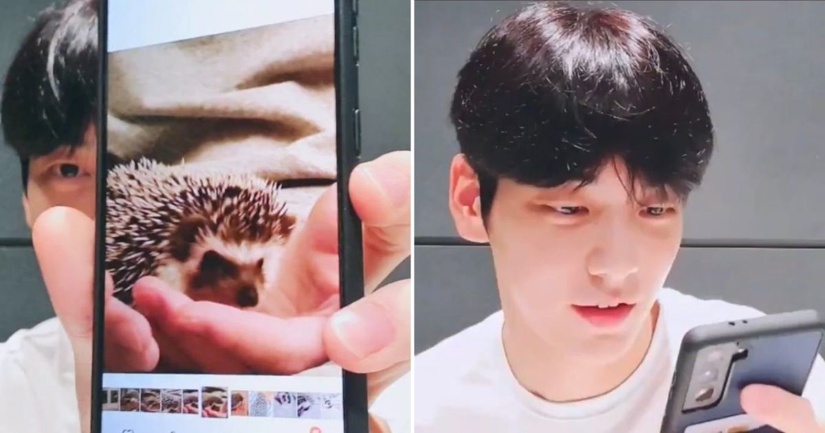 TXT's Soobin Shows Off New Photos Of His Hedgehog Odi Like The Loving ...
