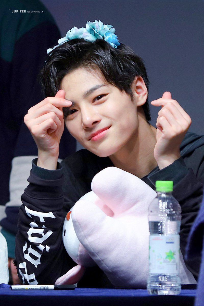 Here Are The Stray Kids Members Ideal Romantic Matches According To ...