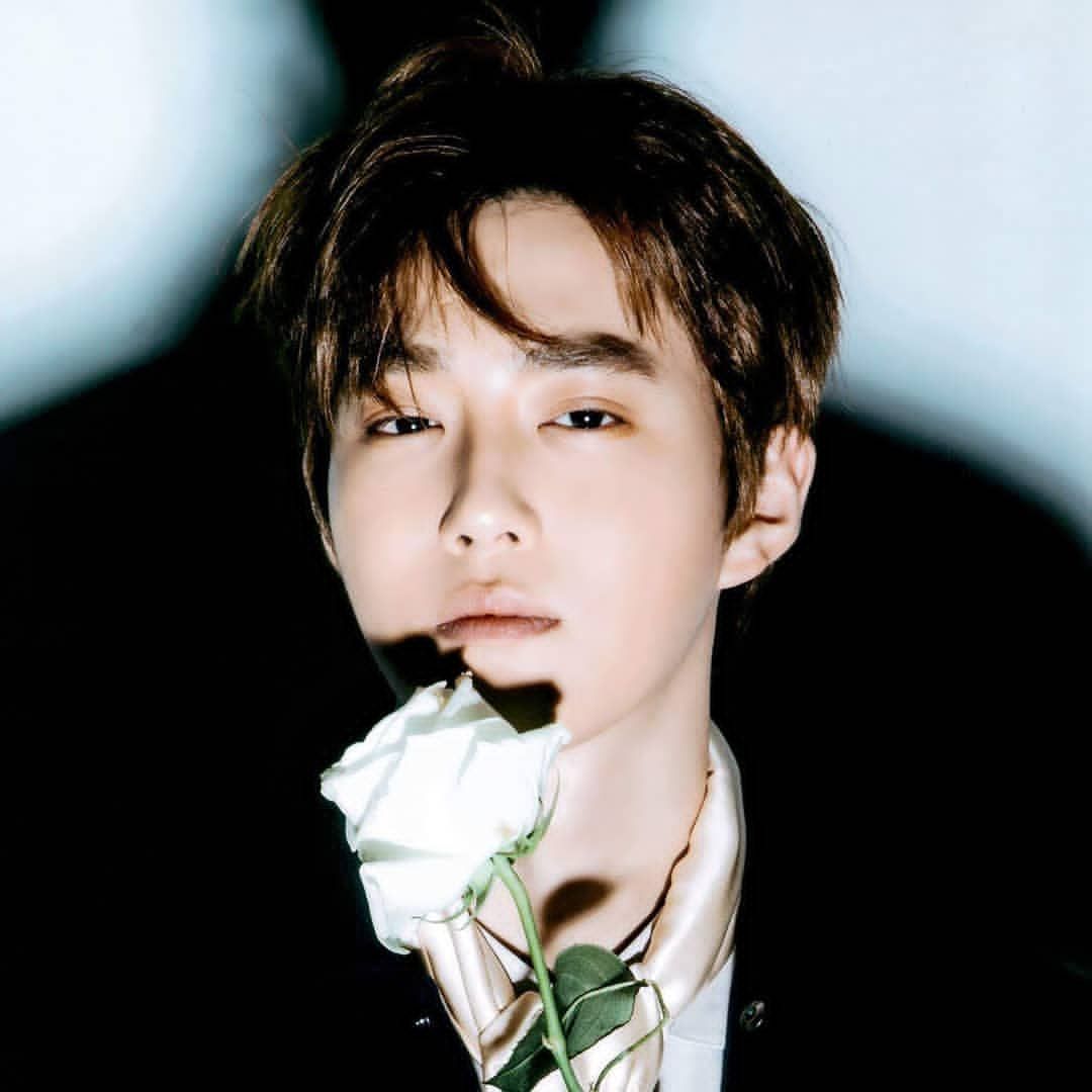 These 25 Photos Prove EXO's Suho Is A Visual Genius - Koreaboo