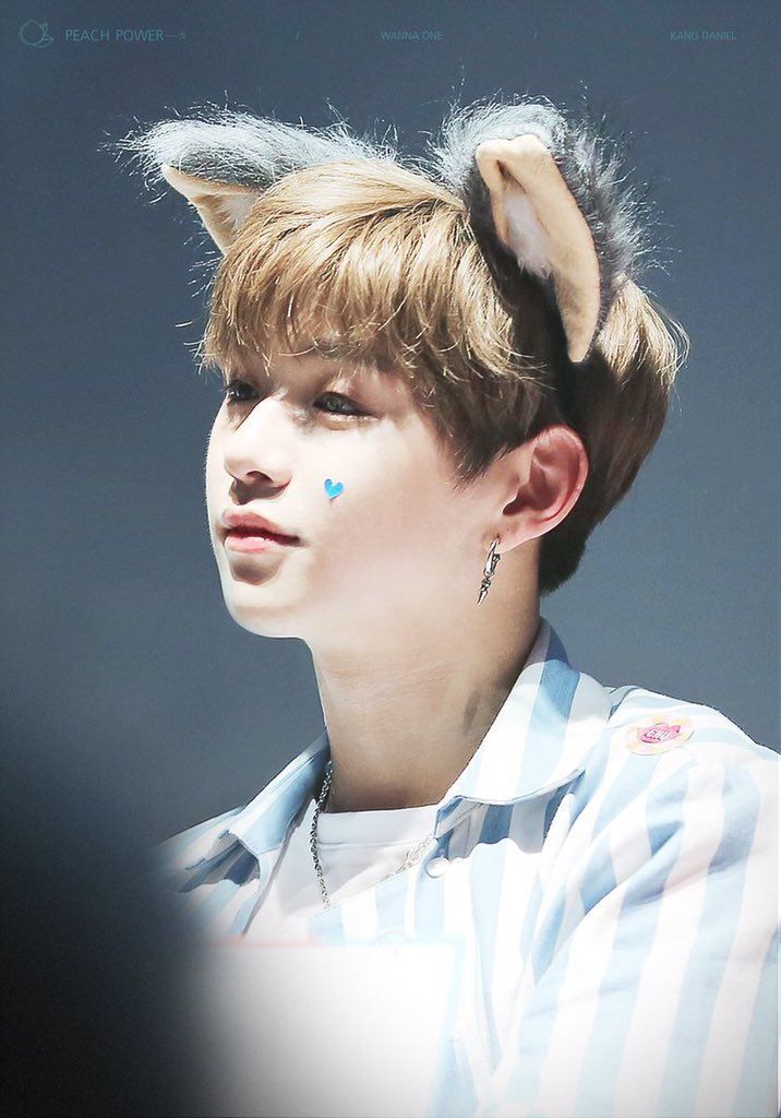 10+ Photos Prove Wanna One Daniel Is A Werewolf - Koreaboo