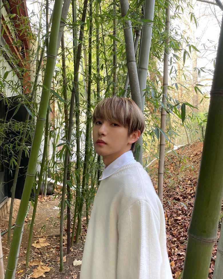NCTzens Are Convinced NCT DREAM's Renjun Looks Like Song Joong Ki With ...