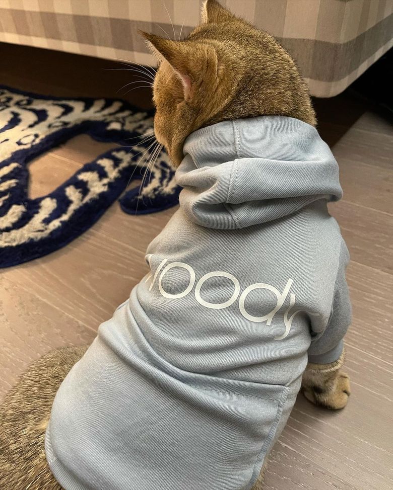 BLACKPINK's Lisa Was Given The Cutest Gifts For Her "L Family," And ...