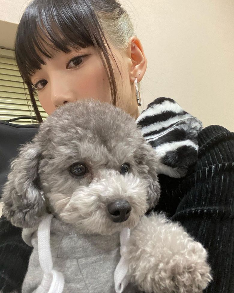 Girls’ Generation Taeyeon’s Dog Zero Becomes A Billionaire With His ...