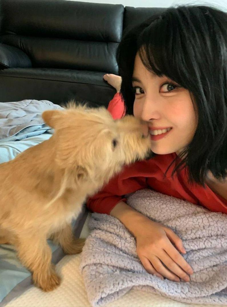 Here Are TWICE Momo's Most Adorable Photos With Her Pet Dogs, Boo And ...