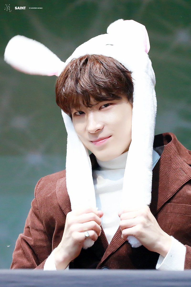 From Hot To Cool To Cute — SEVENTEEN's Wonwoo Does It All In A Single ...