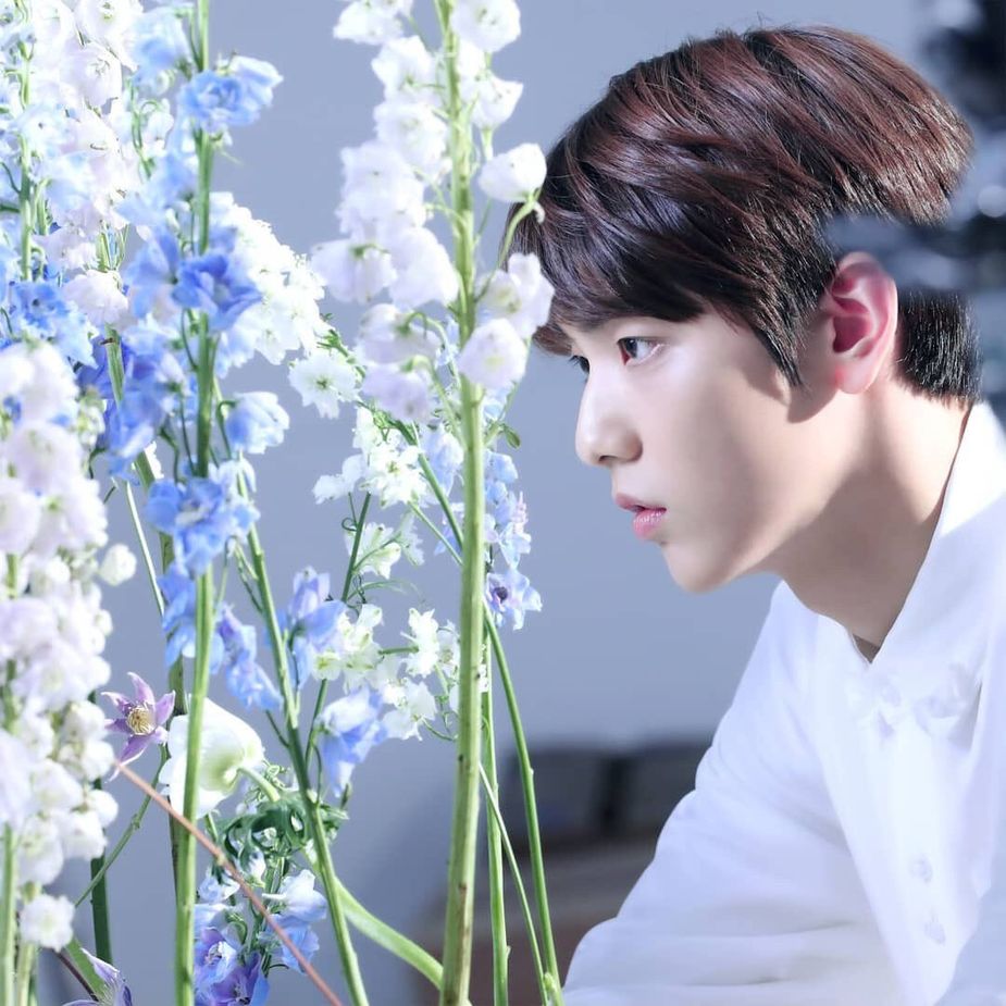 TXT's Name Has Been Given A Painfully Accurate New Meaning