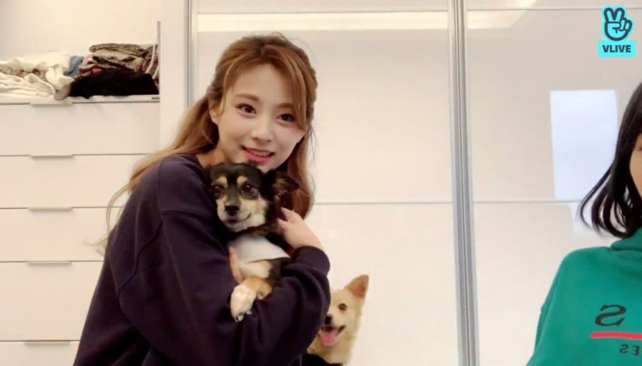 10 Of TWICE Tzuyu's Cutest Pictures With Her Pet Dogs, Butter And Kaya ...