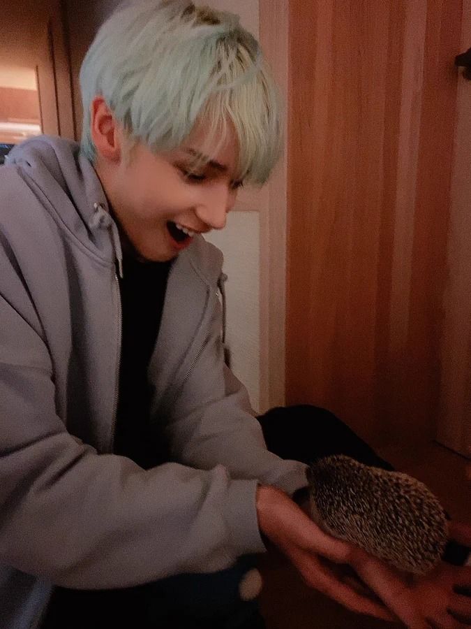 TXT's Soobin Shares Heartbreaking News About His Pet Hedgehog Odi ...