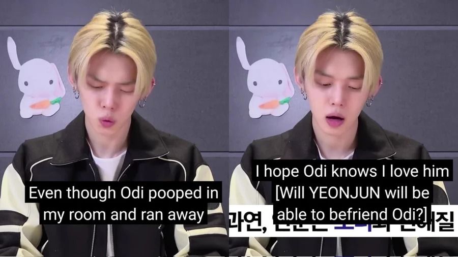 TXT's Soobin Shares Heartbreaking News About His Pet Hedgehog Odi ...