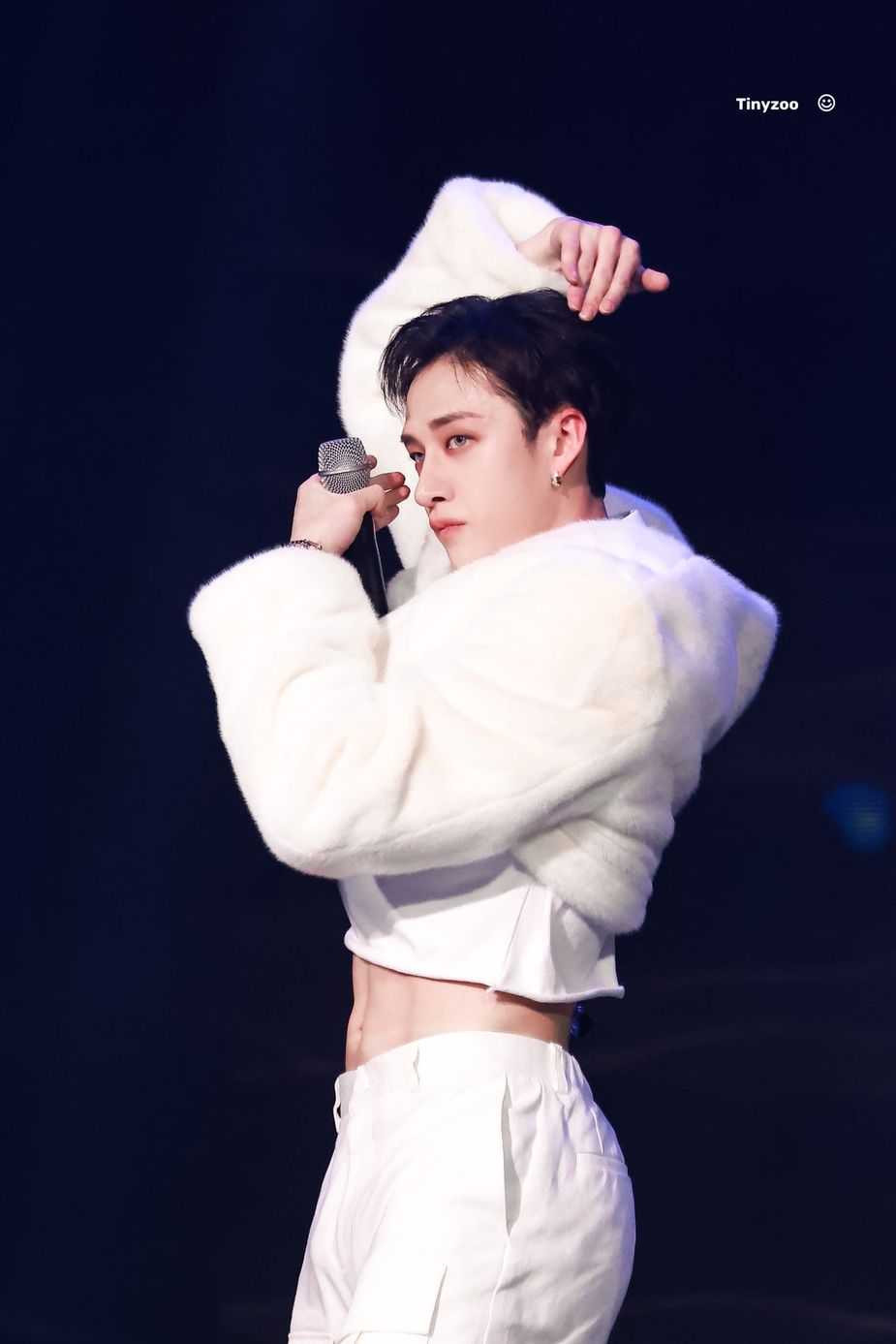 9 Times Stray Kids' Bang Chan Showed Off His Abs In A Crop Top - Koreaboo