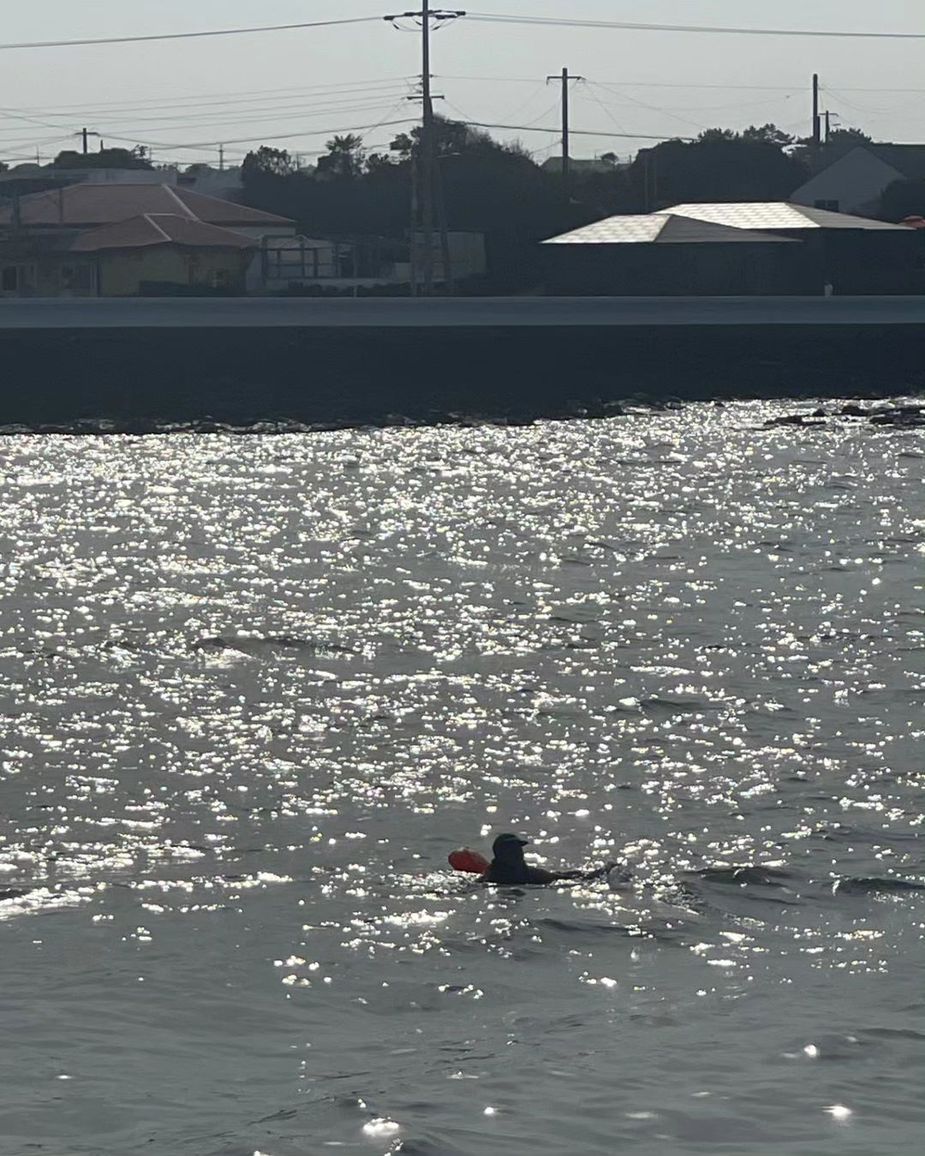 "Winning The IDGAF Award!" Netizens Are Loving MAMAMOO Hwasa's ...