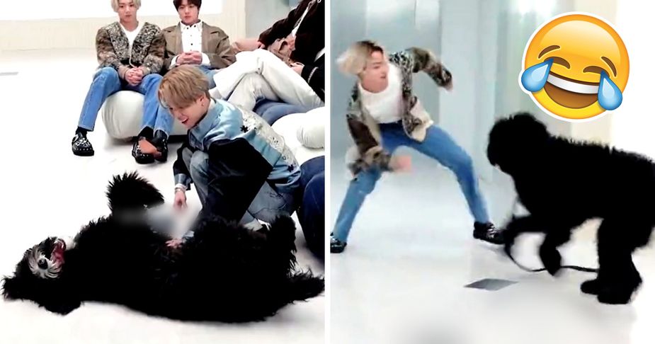 The Difference Between BTS's Jungkook And Jimin Playing With Animals ...