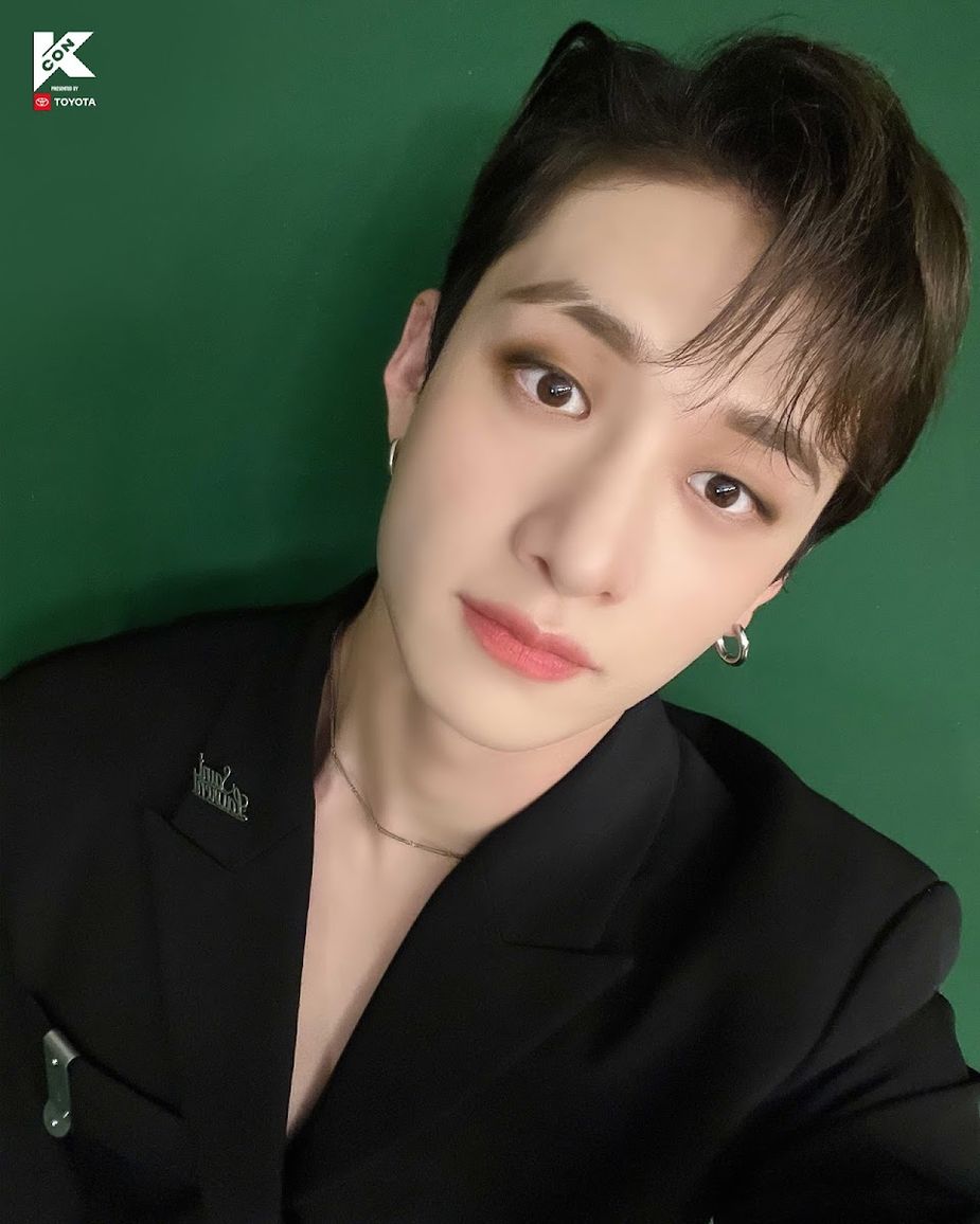 Stray Kids' Bang Chan And Felix Explaining Australia To Children Is ...