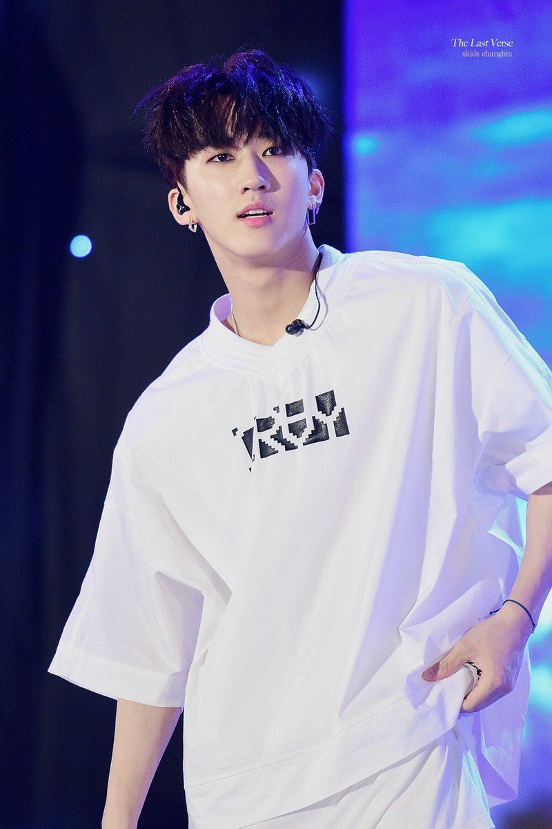 Bang Chan Finally Reveals The Official English Names For Each Stray ...