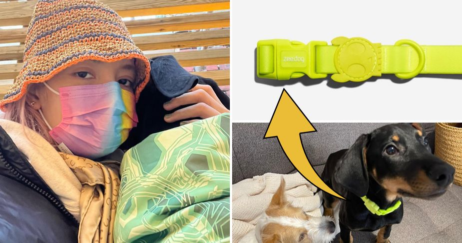 4+ Items That BLACKPINK Lisa's Dog, Love, Owns That You Just Might Be ...