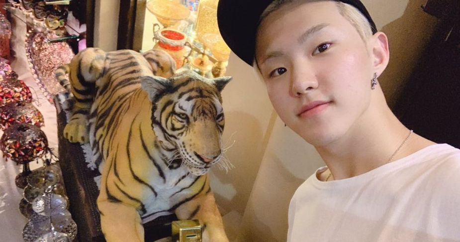 SEVENTEEN's Hoshi Showed CARATs That He Will Always Love Tigers