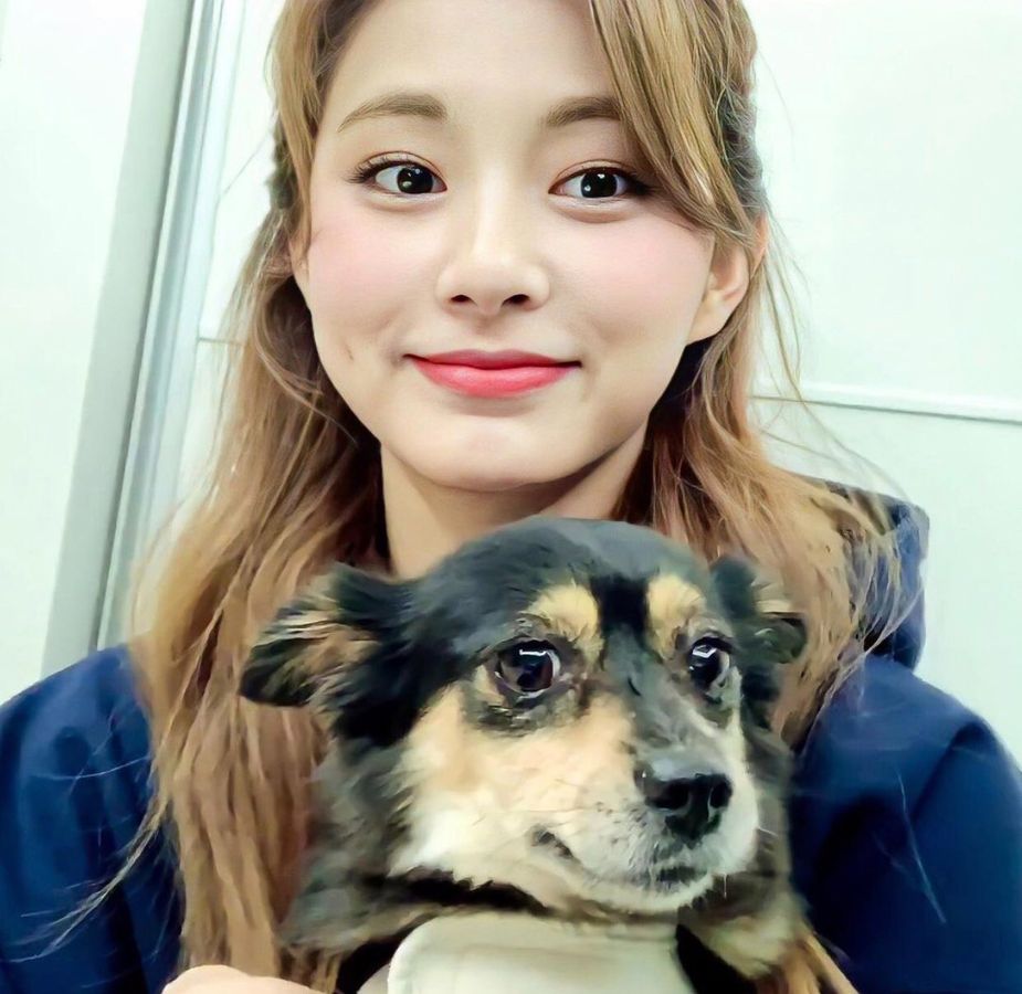 10 Of TWICE Tzuyu's Cutest Pictures With Her Pet Dogs, Butter And Kaya ...