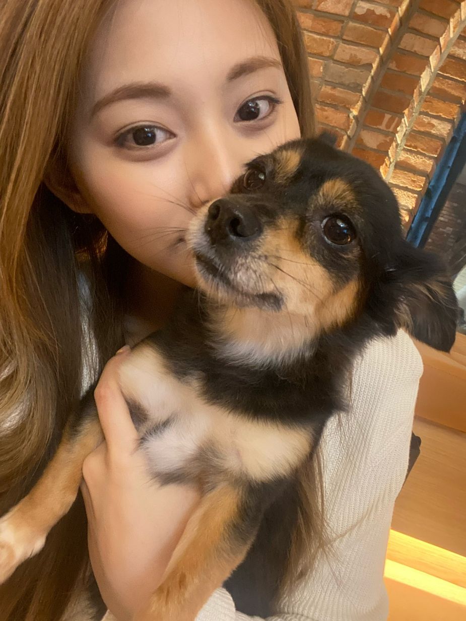 10 Of TWICE Tzuyu's Cutest Pictures With Her Pet Dogs, Butter And Kaya ...
