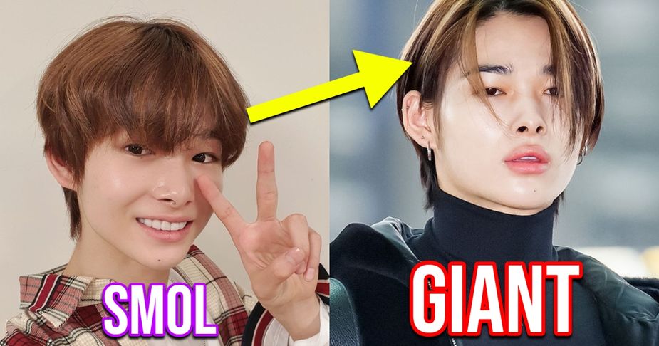 The 8 K-Pop Idols That Have Gone Through The Biggest Growth Spurts ...