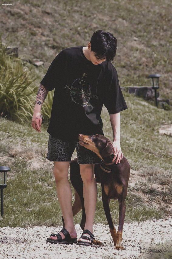 BTS's Jungkook Proudly Shows Jimin All The Tricks Bam Can Do - Koreaboo