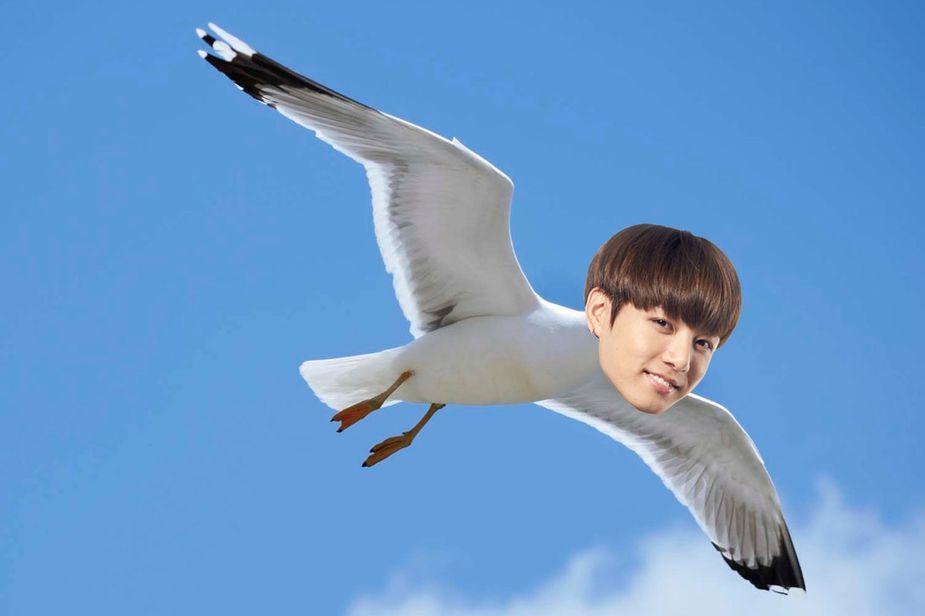 Every Single Nickname That Fans Call BTS Jungkook, And The Meaning ...