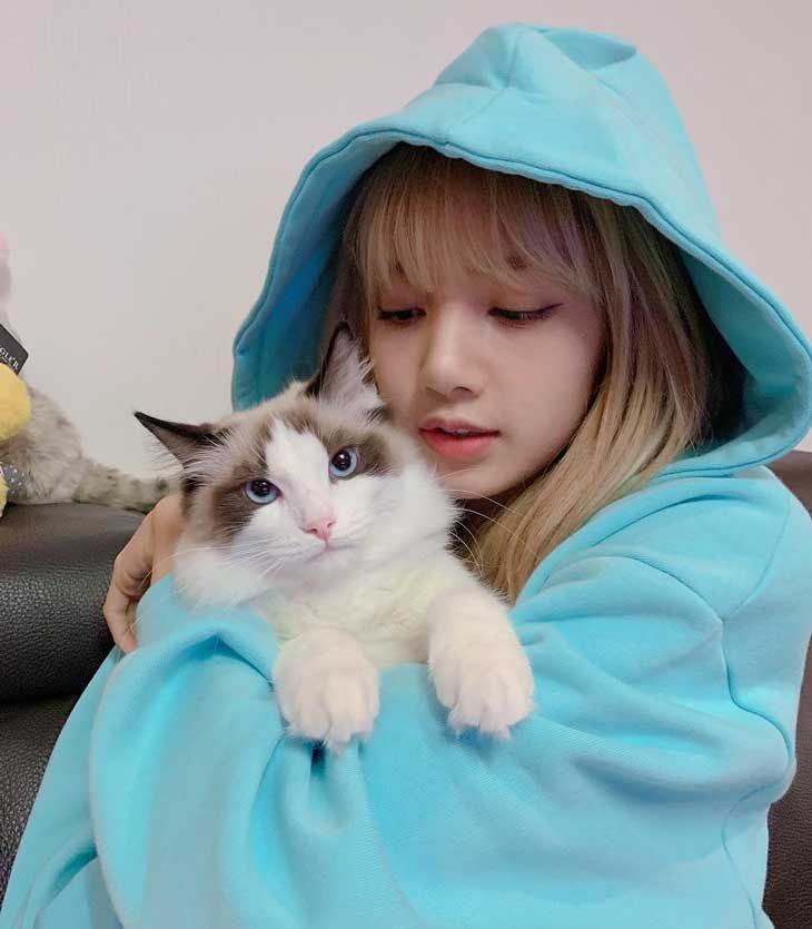 BLACKPINK's Lisa Just Got Her 5th Kitten & It's The Cutest Thing You'll ...