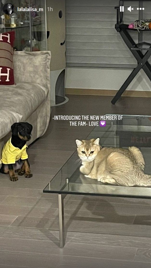 BLACKPINK's Lisa Introduces The Newest Member Of The "L Family"—A Dog ...